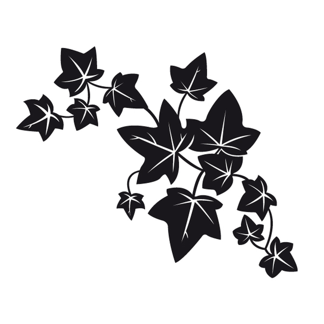 Wandtattoo Efeu