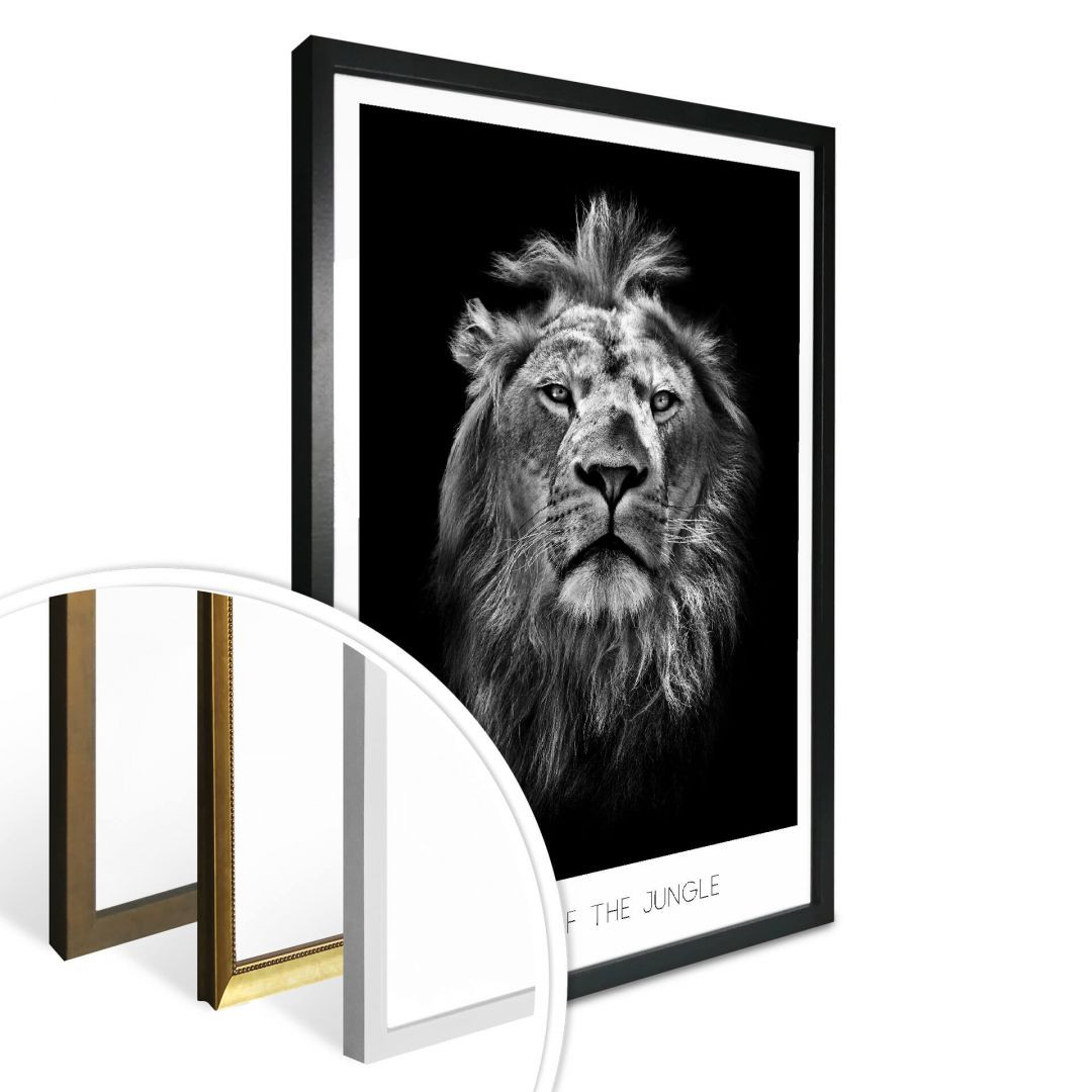 Poster Lion - King of the Jungle - trenddeko.ch