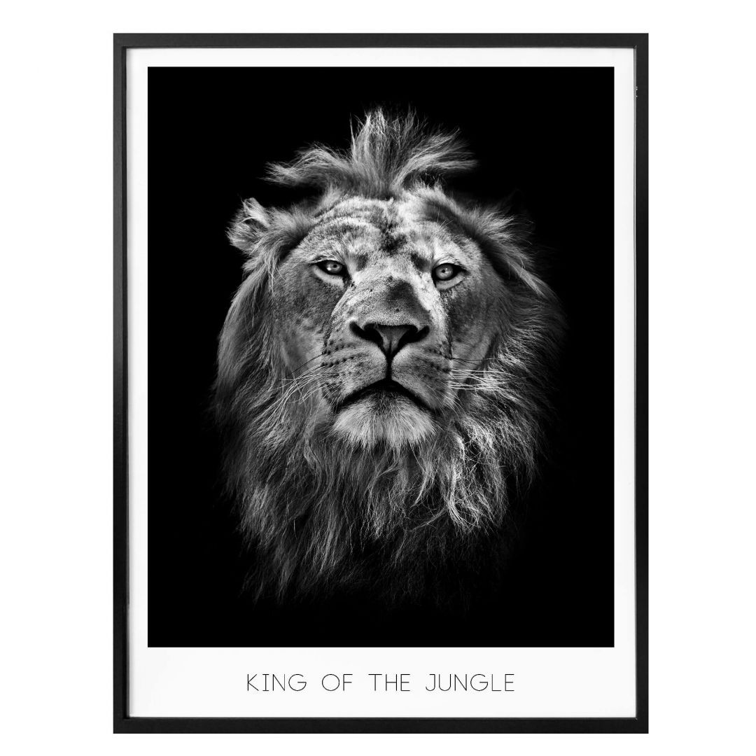 Poster Lion - King of the Jungle - trenddeko.ch