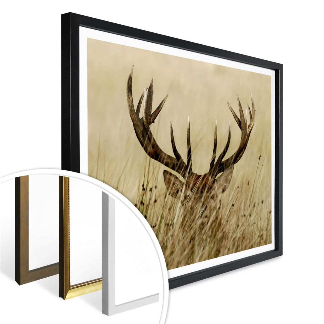 Poster Wachsamer Hirsch - trenddeko.ch