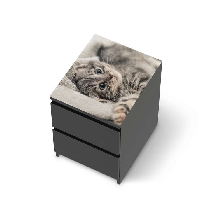 Möbelfolie IKEA Malm Kommode 2 Schubladen oben - Kitty the Cat