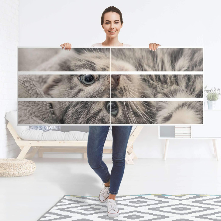 Möbelfolie IKEA Malm Kommode 6 Schubladen (breit) - Kitty the Cat