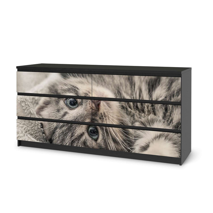 Möbelfolie IKEA Malm Kommode 6 Schubladen (breit) - Kitty the Cat