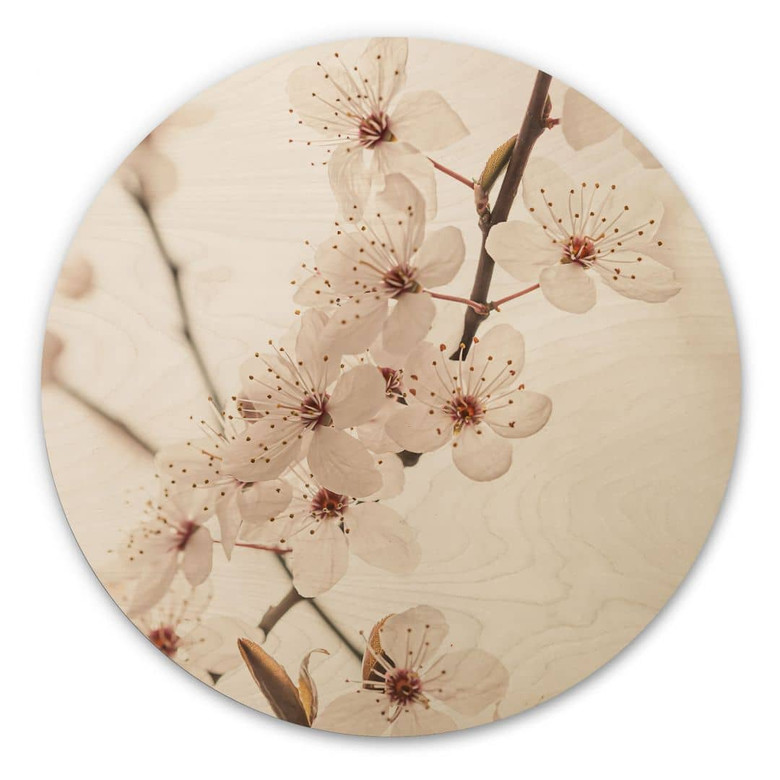 Holzbild Zweig mit weissen Kirschblüten - Sisi & Seb - Rund